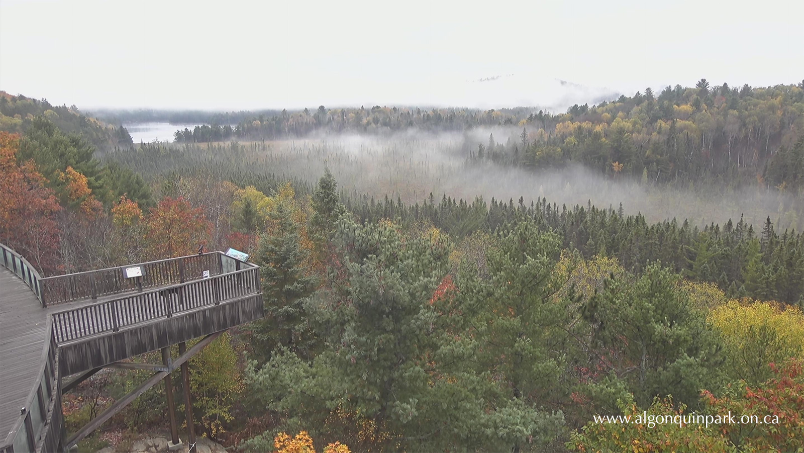 Fall Colour Report | Algonquin Provincial Park | The Friends of ...