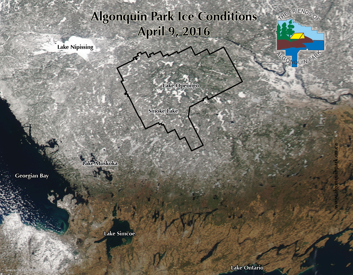 Ice Out Conditions | Latest Algonquin Park News | Algonquin Provincial ...